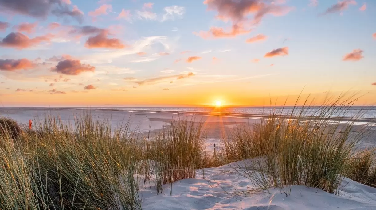 List of Islands in Germany - Plan for Germany